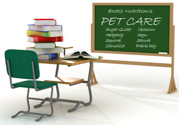 Pet Care & Education