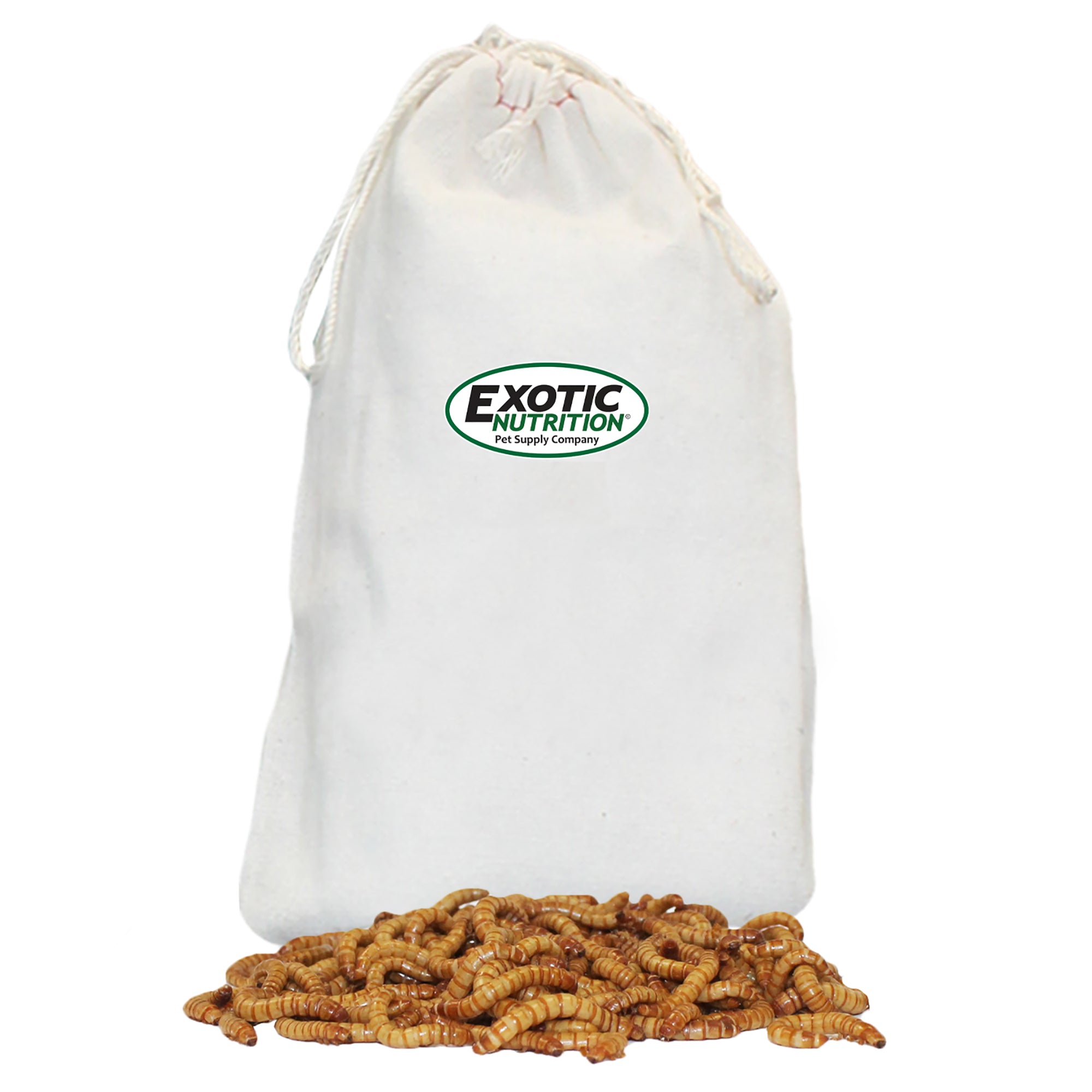 Choosing Shipping Method of Live Mealworms