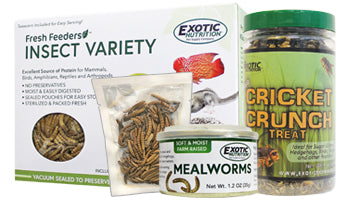 Canned & Dried Insects