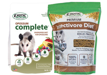 Opossum Food