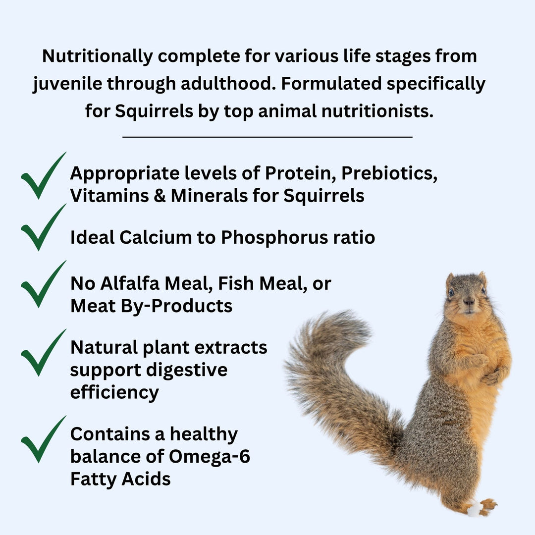 Premium Squirrel Blocks— Apple Flavor