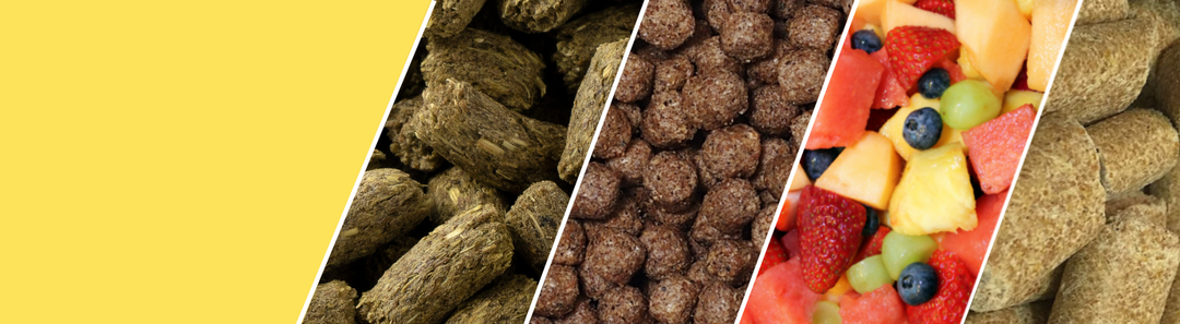 Exotic pet supplies including food, mealworms, treats and accessories.