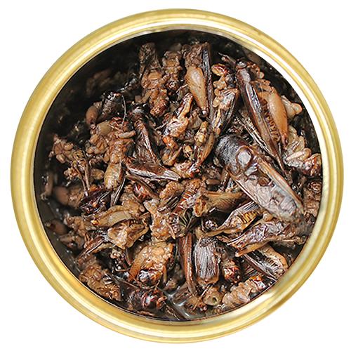Canned Crickets
