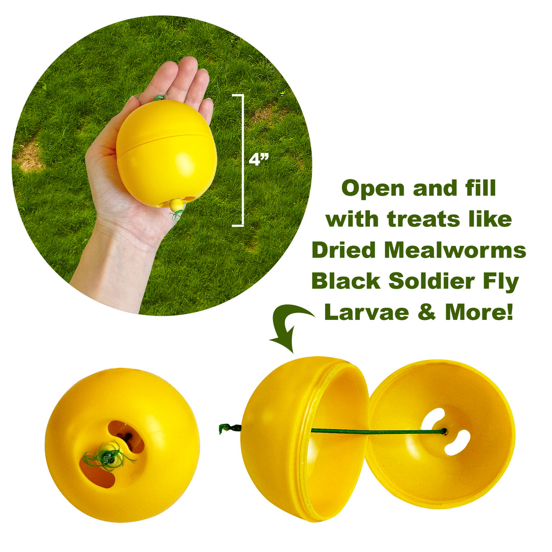 Chicken Treat Dispenser