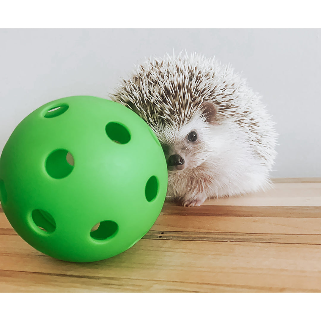 Hedgehog Ball 6313