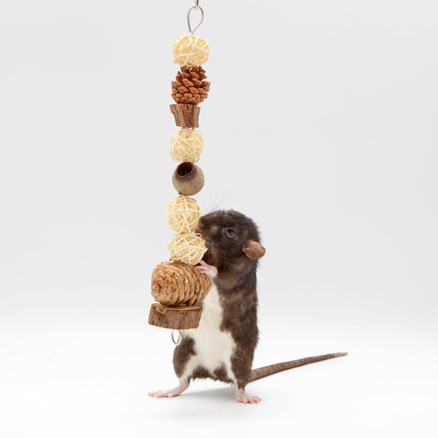 Treetop Tower