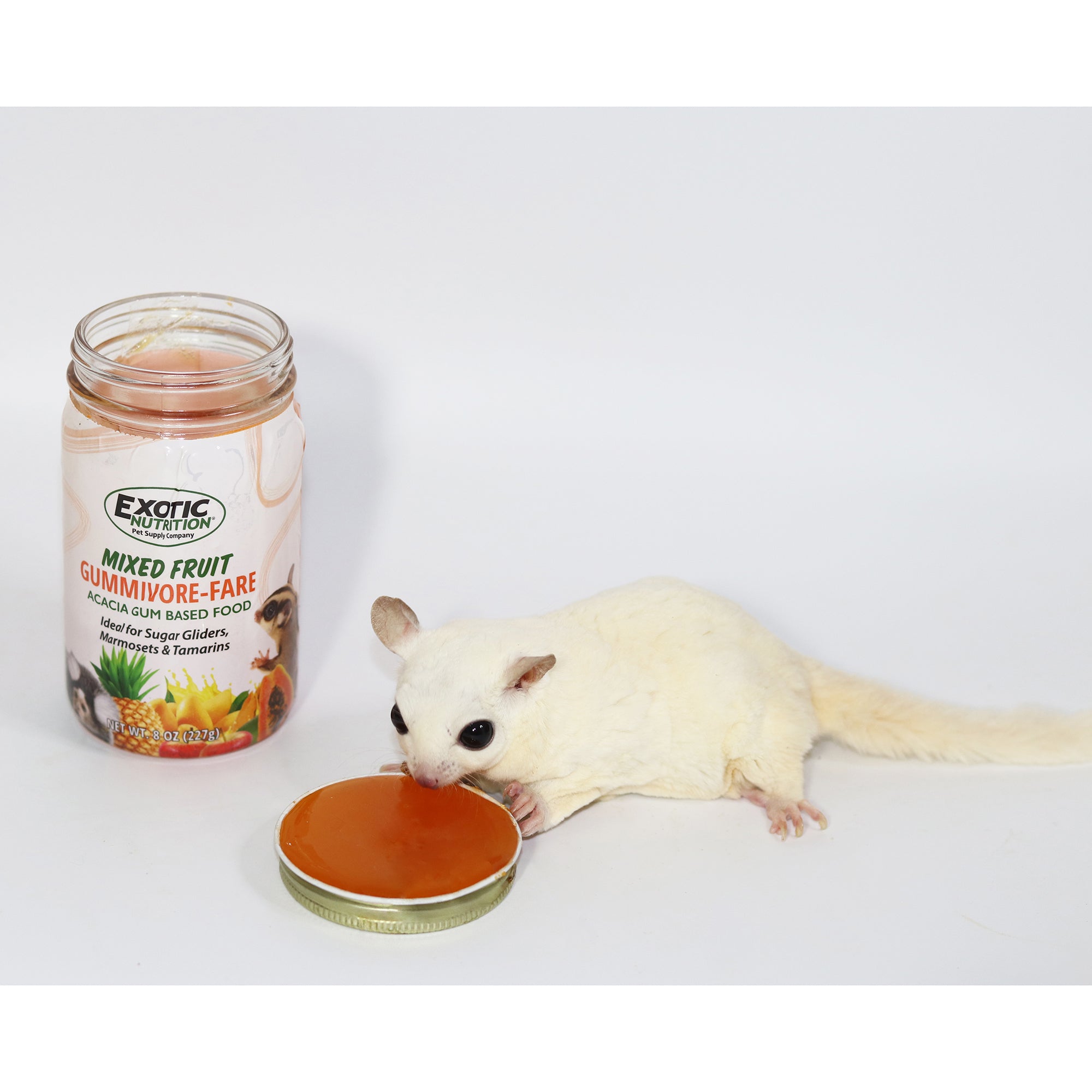 Gummivore-Fare Sugar Glider Food