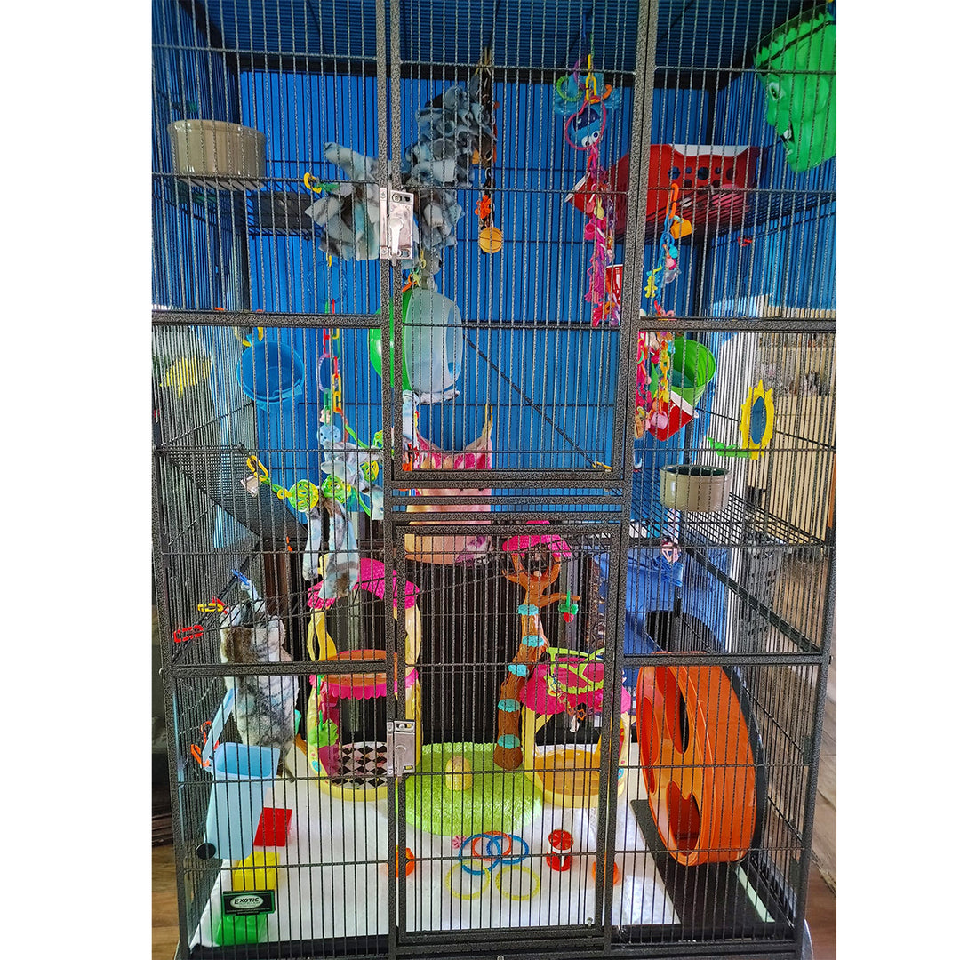 Madagascar Cage
