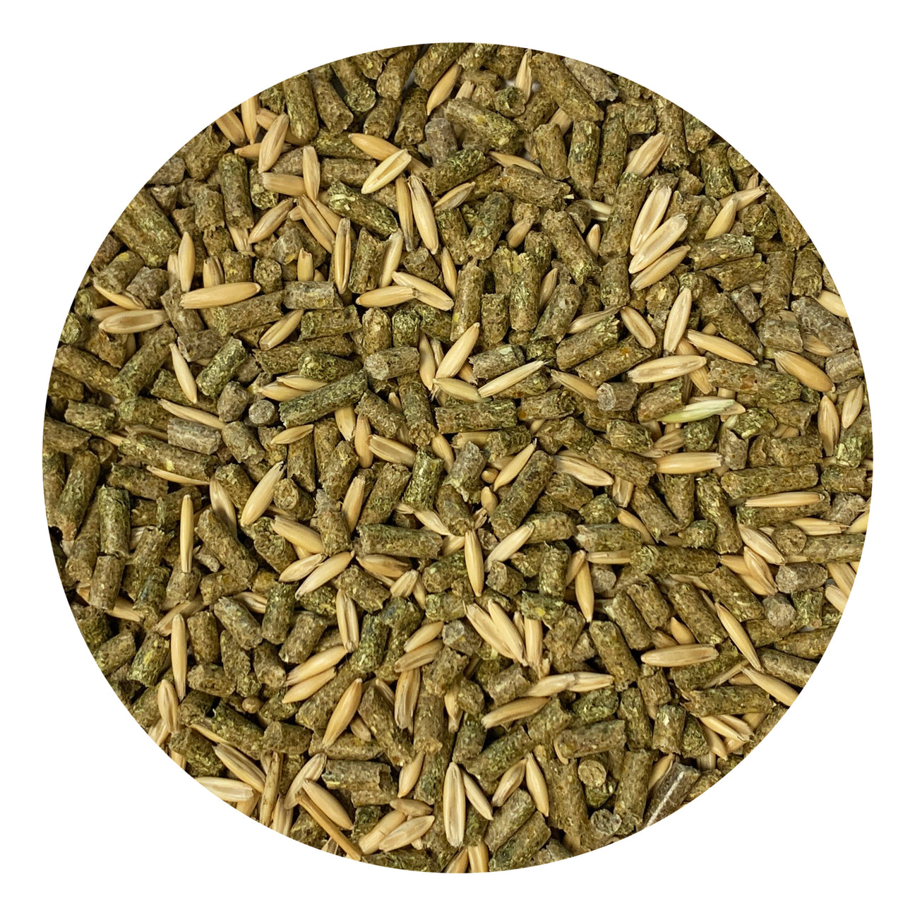 Degu Food with Whole Oats