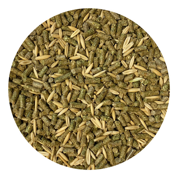 Degu Food with Whole Oats