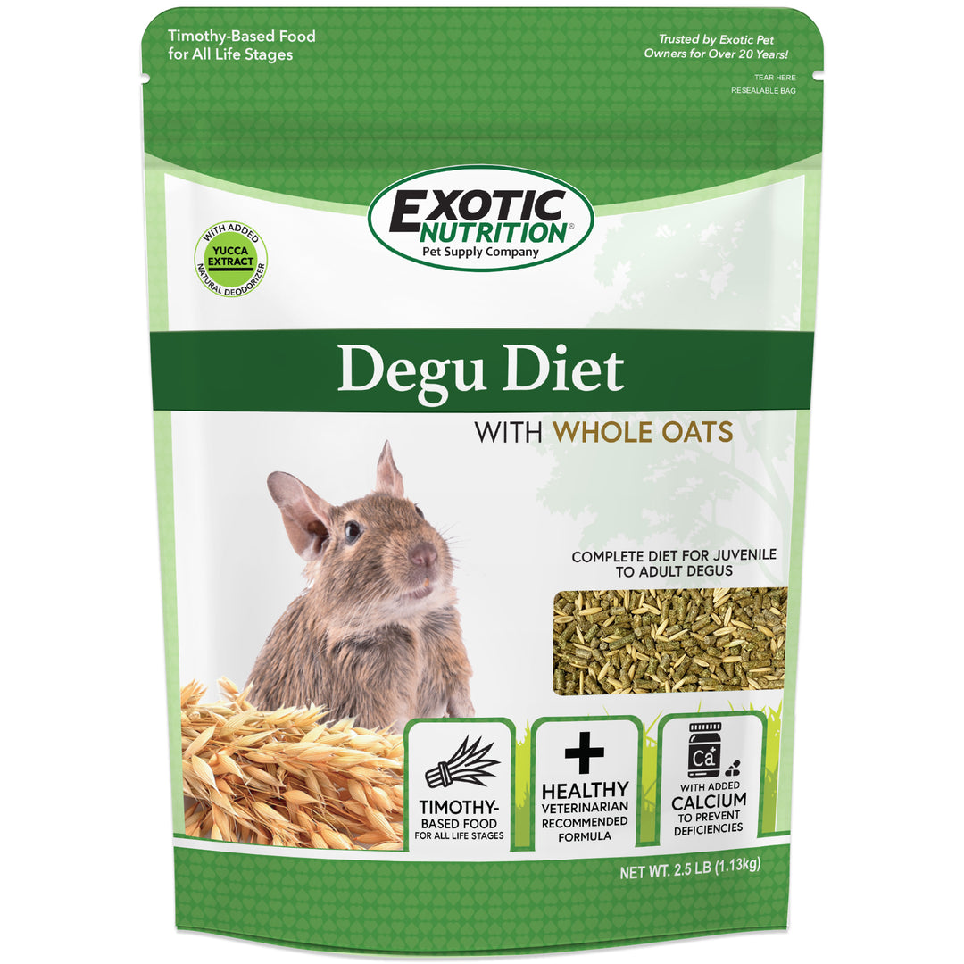 Degu Food with Whole Oats