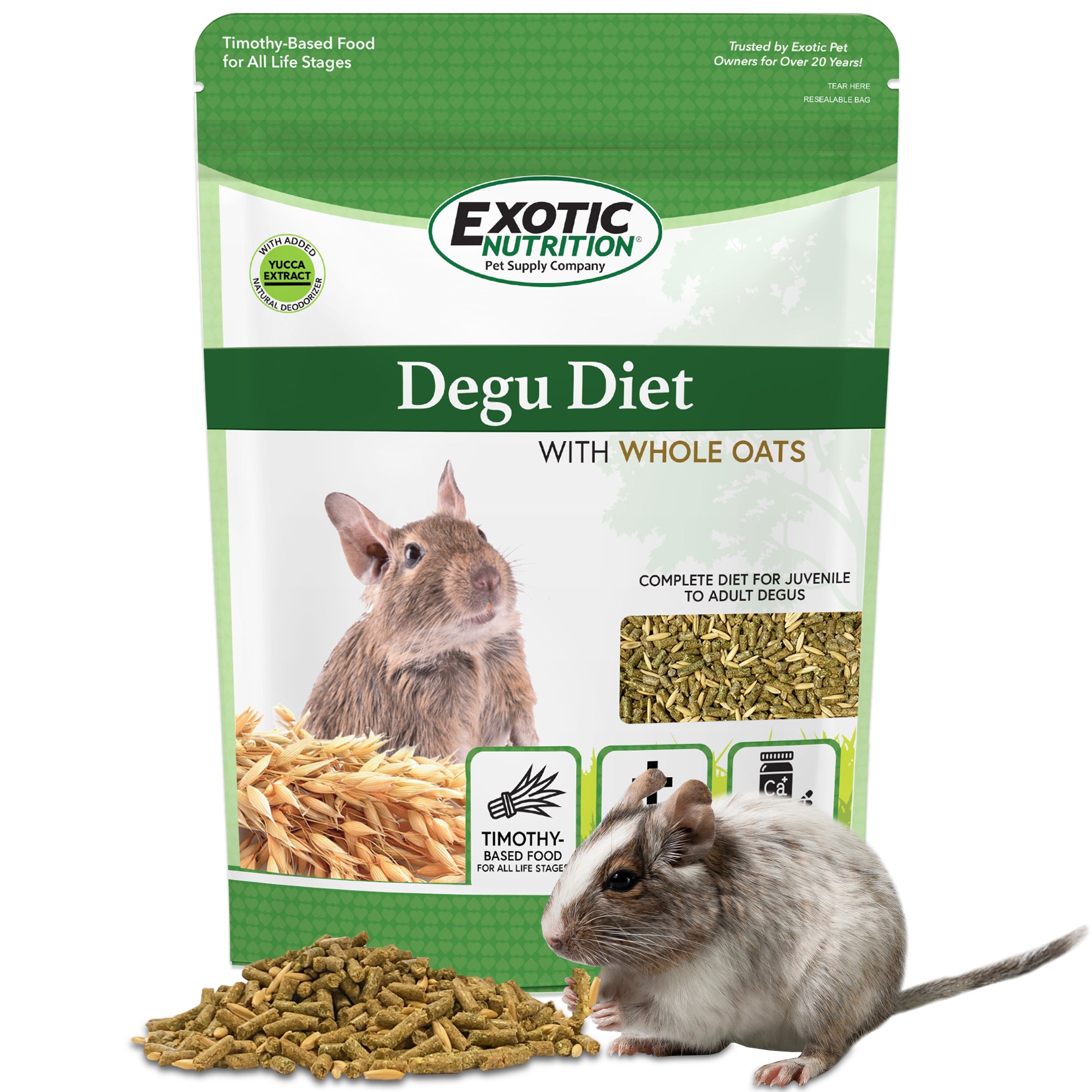 Degu Food with Whole Oats