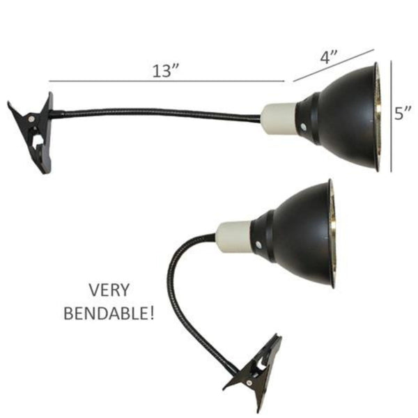 Gooseneck Lamp with Dome