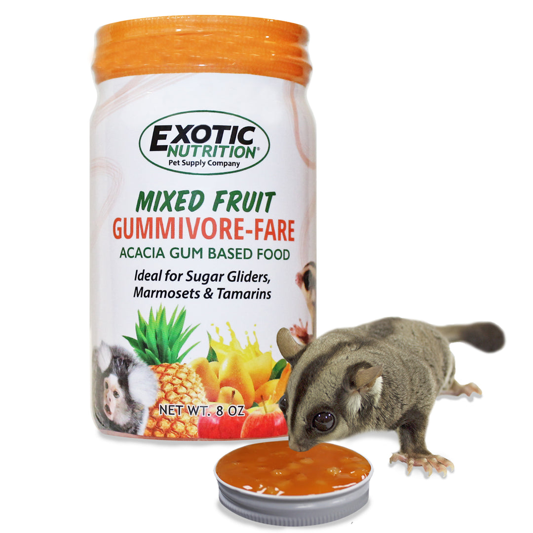 Gummivore-Fare Sugar Glider Food