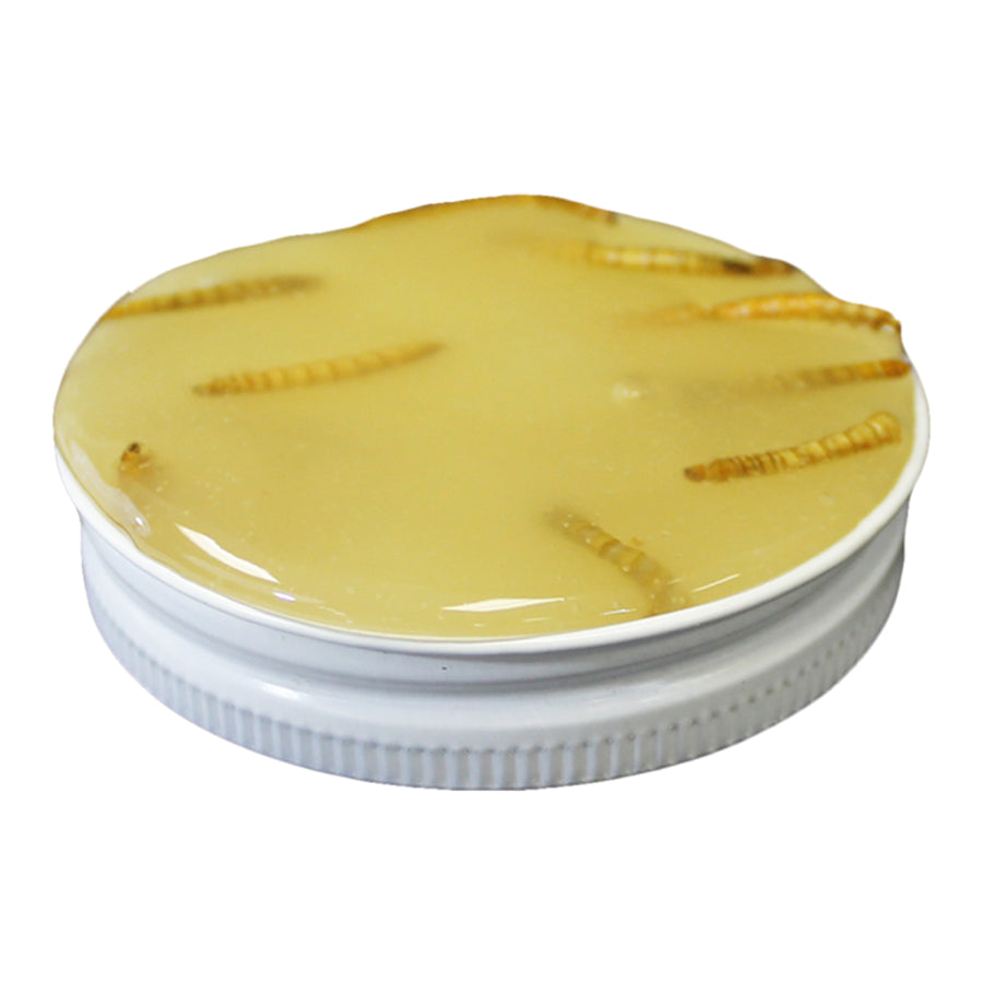 Gummivore-Fare Sugar Glider Food