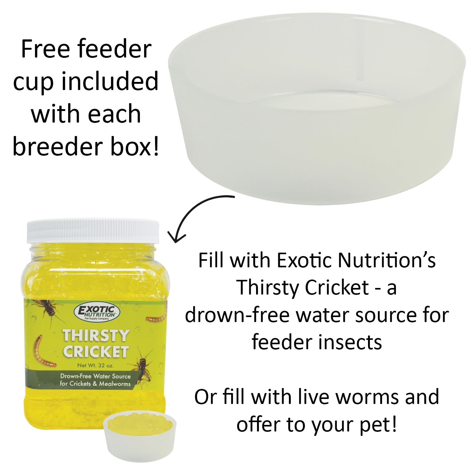 Mealworm Breeder Kit