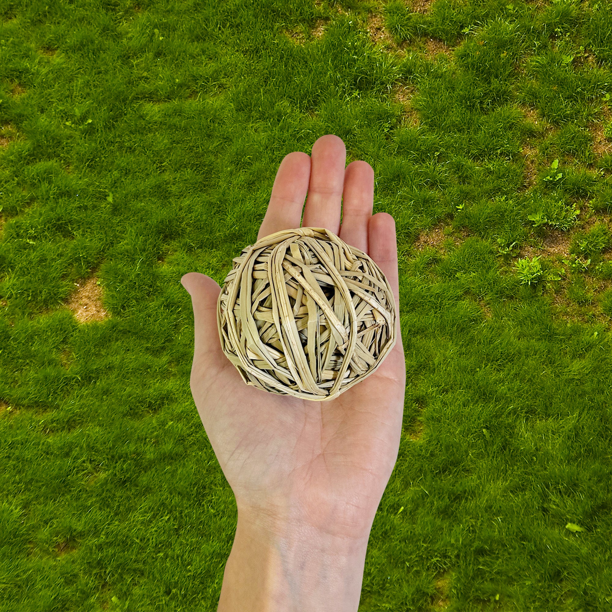 Natural Fun Balls 6 Pack