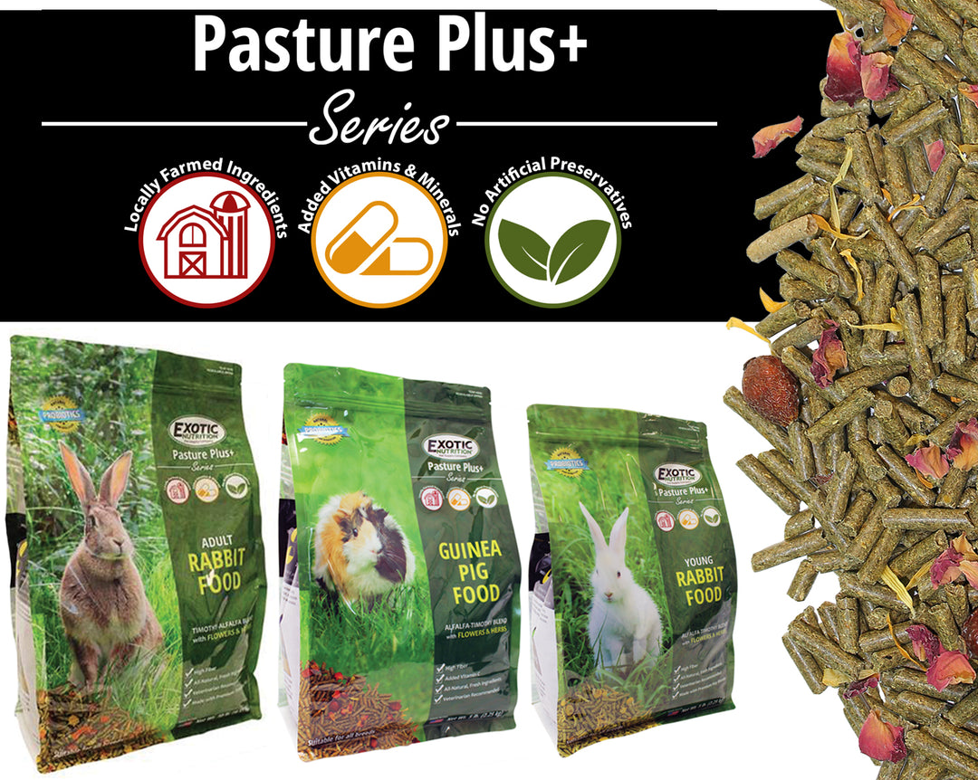 Pasture Plus— Adult Rabbit Food