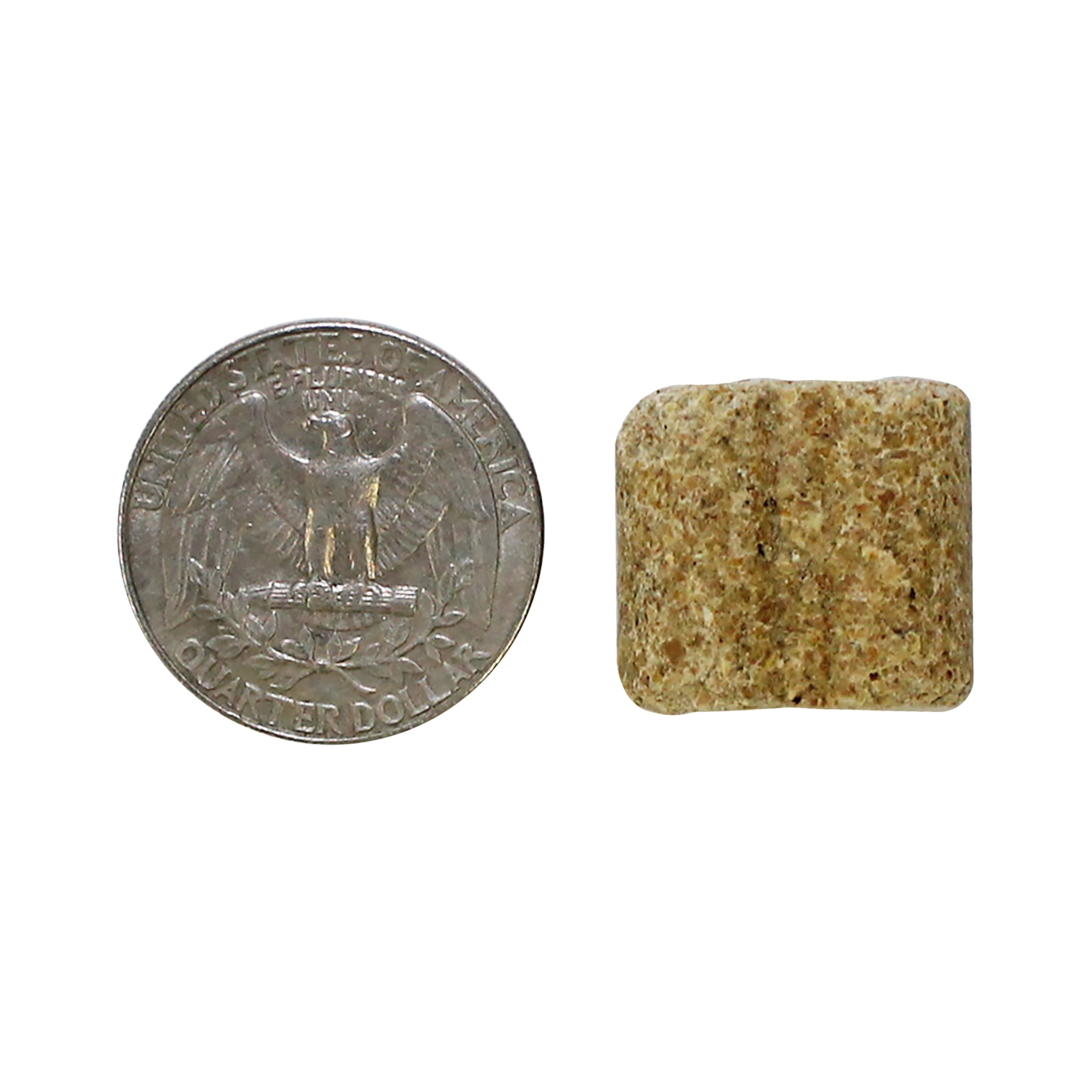 Rodent Blocks Rodent Food