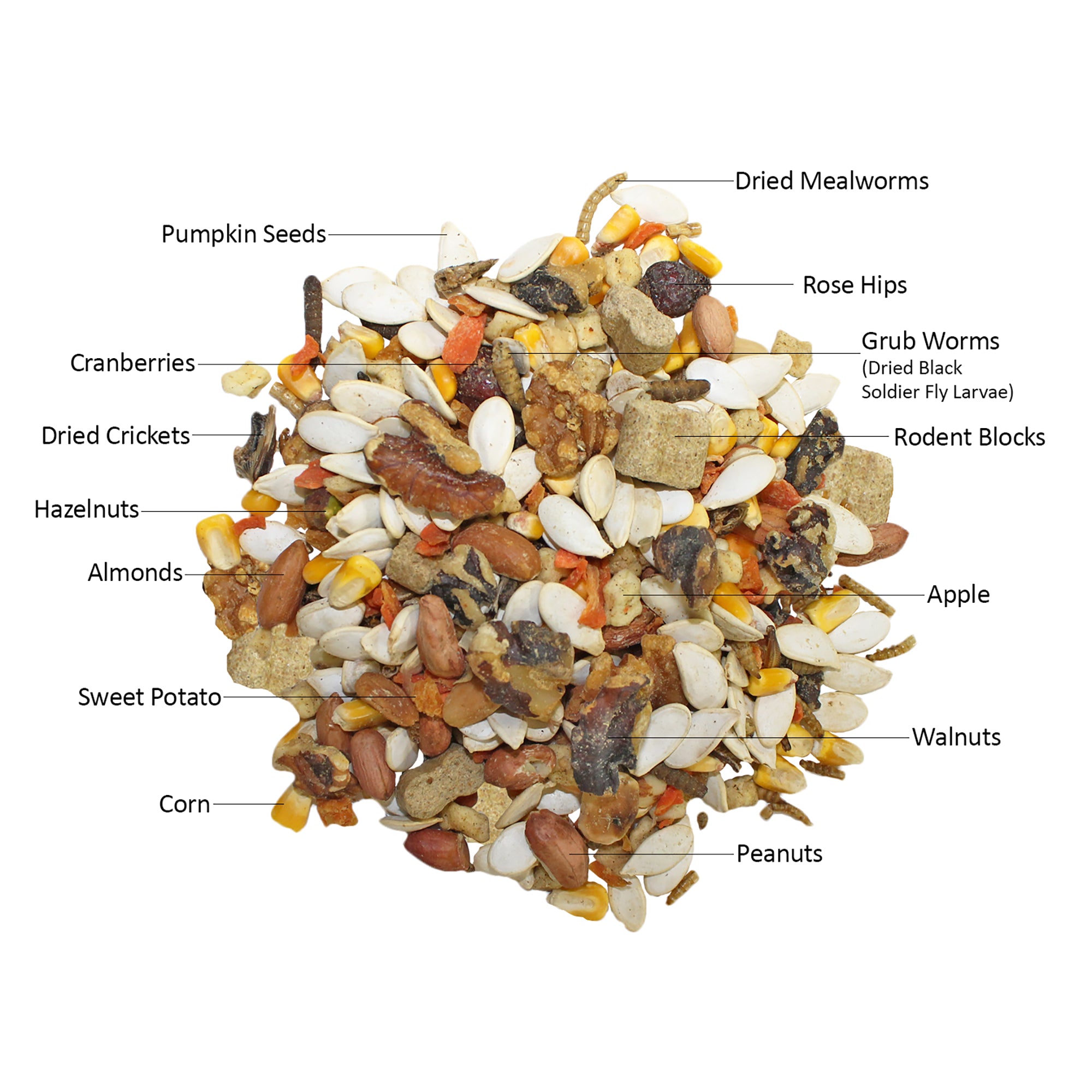 Squirrel Complete— Squirrel Food